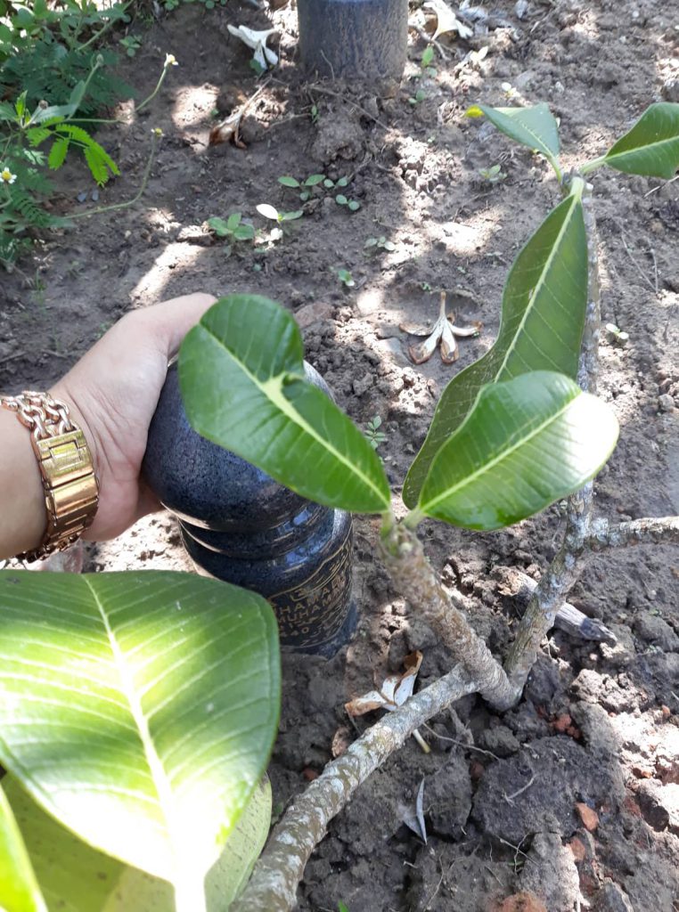 "Bab Baju Raya Family Che Ta Terpaling Juara"- Che Ta Kongsikan Koleksi ...