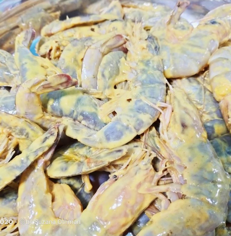 Tak Perlu Tauhu, Guna Kulit Popia Je! Popia Bergedil Rangup Sedap Buat ...