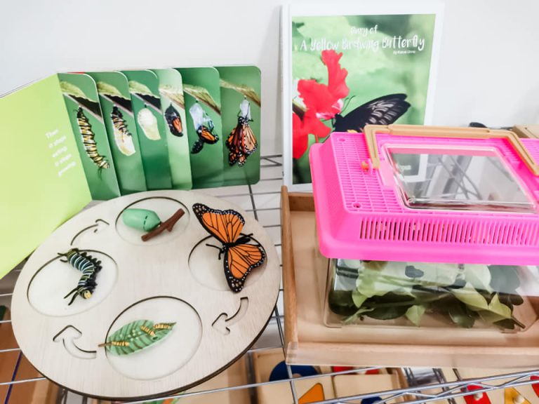 "Macam-Macam Soalan Anak Tanya" Bela Ulat Beluncas Sampai Jadi Rama ...