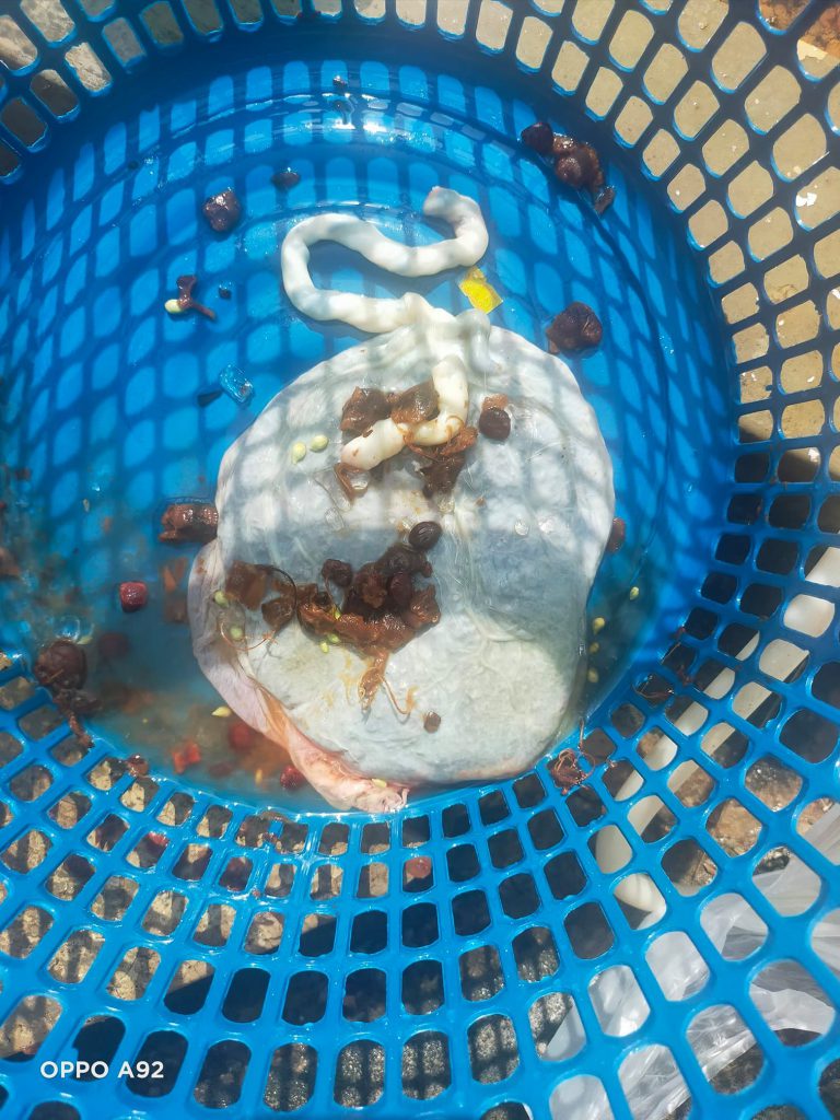 Sediakan 6 Bahan Ini, Nanti Anak Lahir Senang Nak Uruskan Uri Bayi