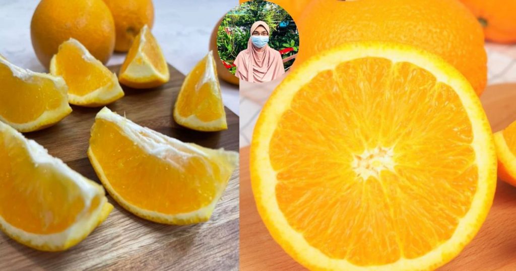 Ajar Anak Makan Oren Sekali Empulur Putih. Bahagian Ini Bagus & Banyak ...