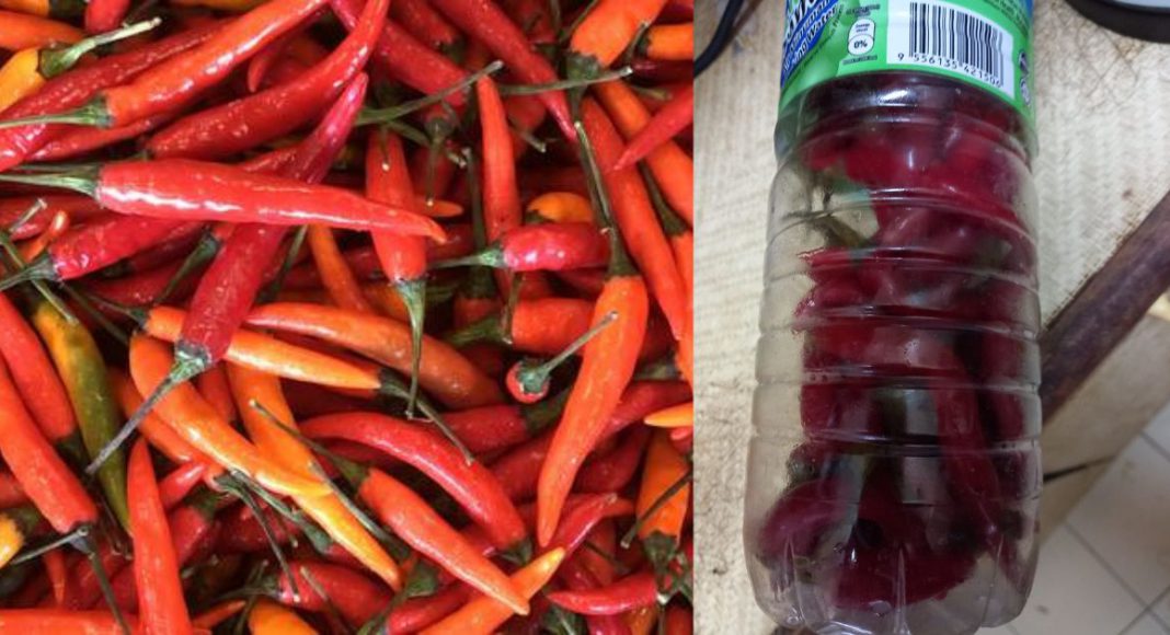 Simpan Dalam Botol Cara Simpan Cili Tahan Lebih Lama. 8 Bulan Pun Kekal ...