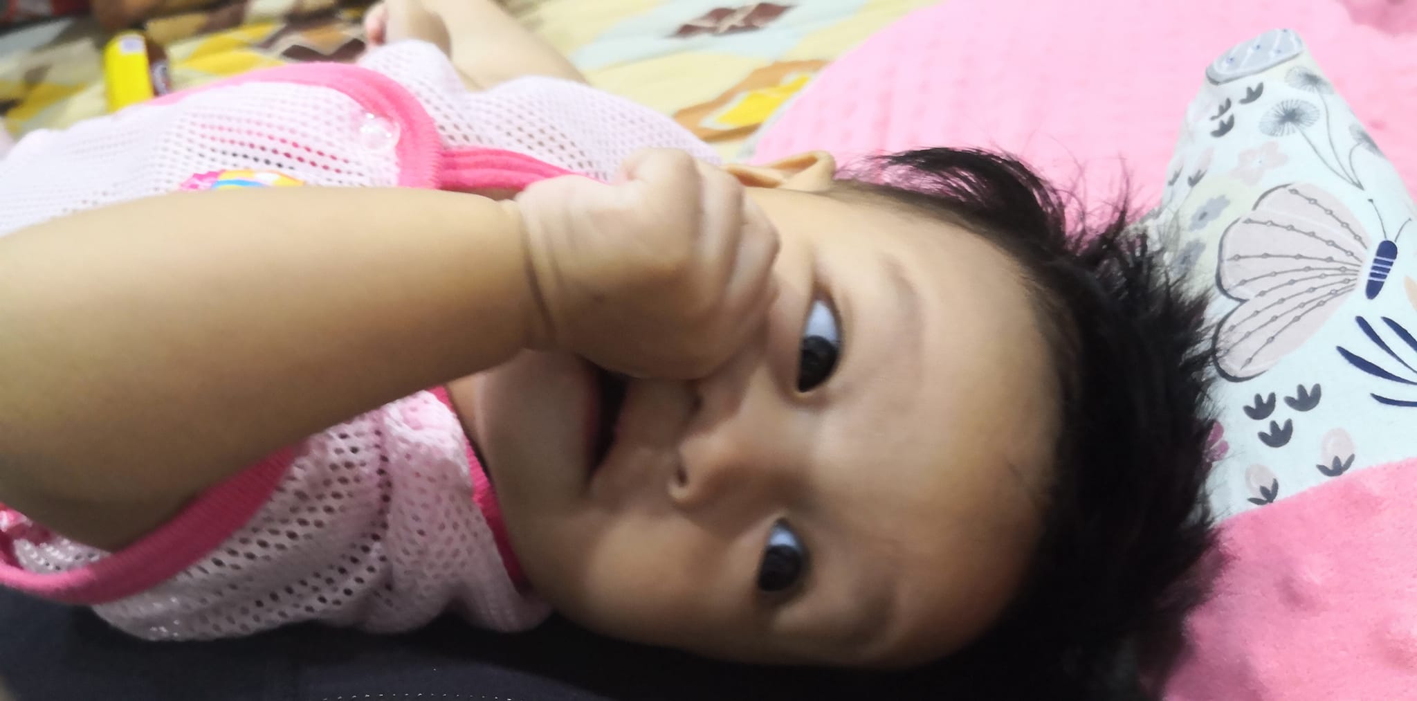 Menangis Keluarkan Sengkenit. 2 Ekor Sebesar Butir Nasi Duduk Di ...